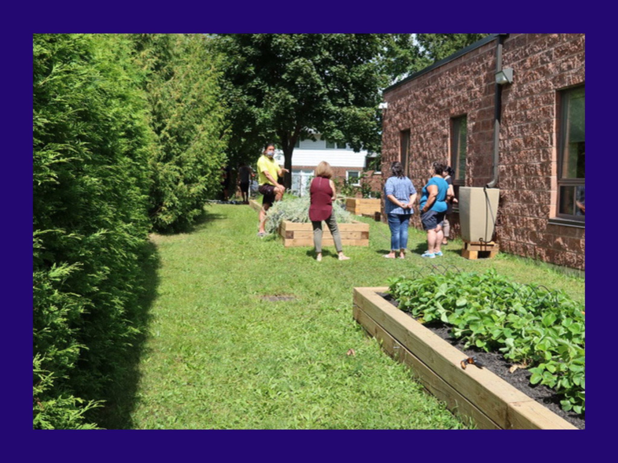 About Us – Anishnabeg Outreach